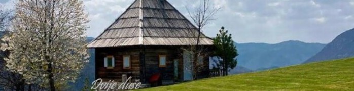 radio "ELVIS" mali radio velikog SRCA